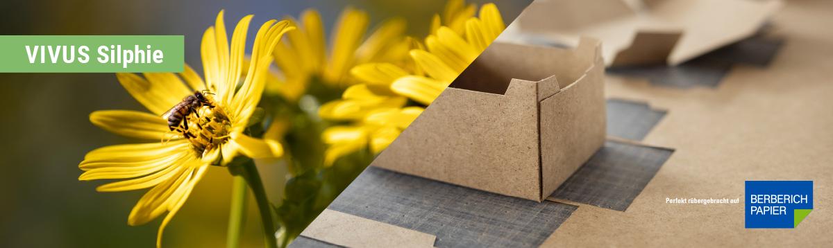 Home - Berberich Papiere, Büropapiere und Recyclingpapiere